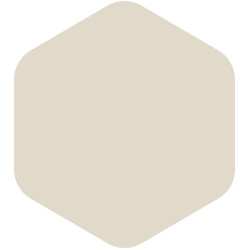 PPG1024-1 PPG涂料颜色 - 迪斯和专业画家的油漆颜色 - 新万博苹果下载,新万博登录页面,manbetx2.0app下载